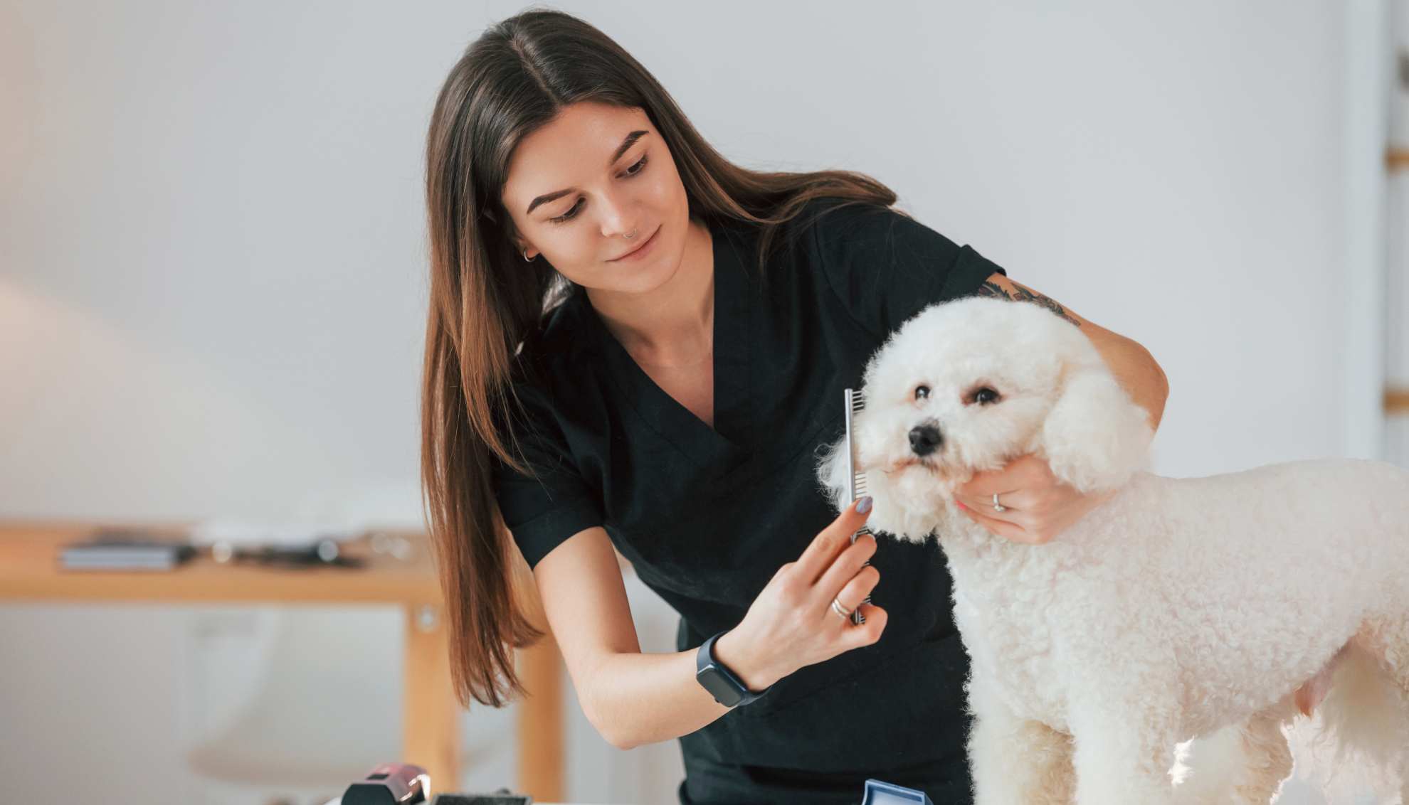 Pet Grooming Scheduling Software That Simplifies Life | Bookeo